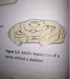 Who Says Learning Can't Be Funny? (28 Textbook Jokes) - Better Book Titles